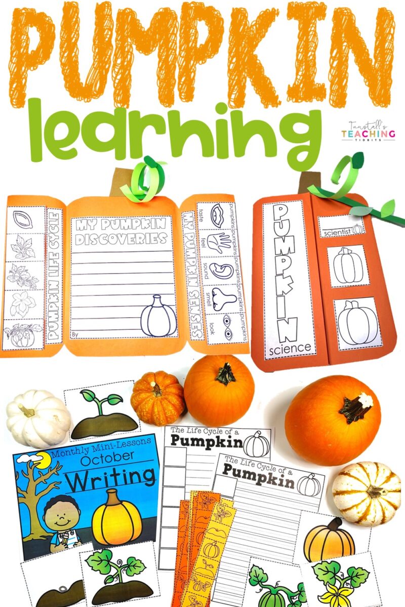 Pumpkin Themed Learning - Tunstall's Teaching