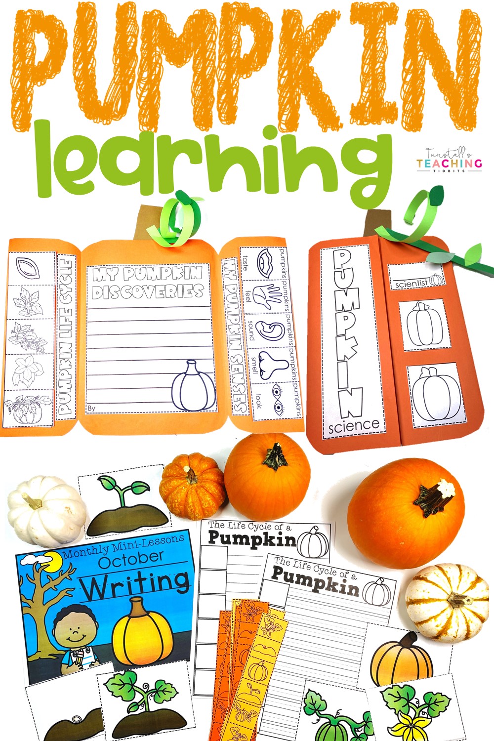 Pumpkin Themed Learning - Tunstall's Teaching