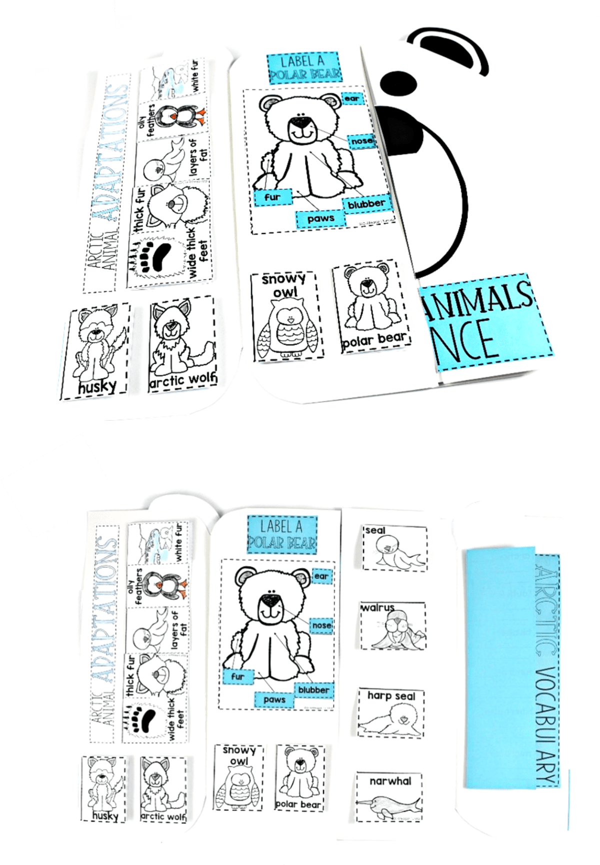 January Learning and Resources - Tunstall's Teaching