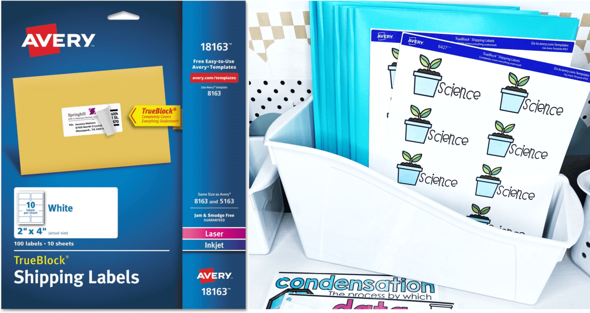 Free School Folder Labels For Teachers - Tunstall's Teaching