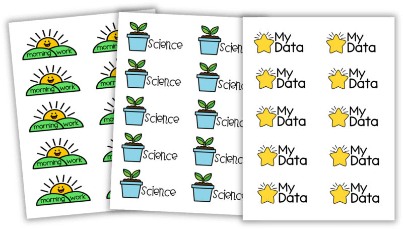 Free School Folder Labels For Teachers - Tunstall's Teaching