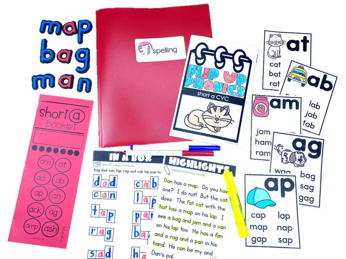 Free School Folder Labels For Teachers - Tunstall's Teaching
