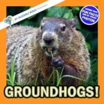 Free Groundhog Day Fact and Opinion Writing Lesson - Tunstall's Teaching