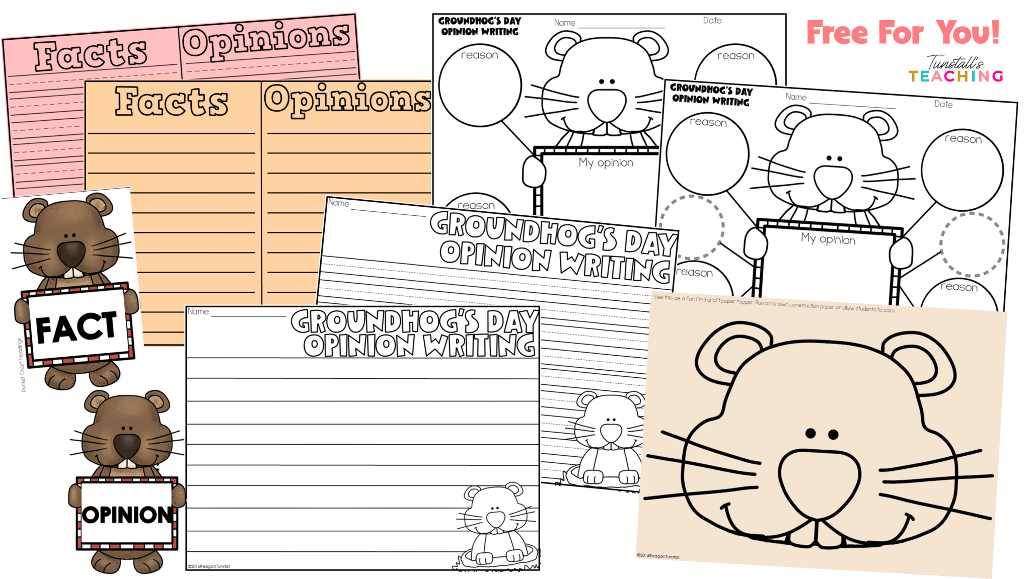 Free Groundhog Day Fact and Opinion Writing Lesson - Tunstall's Teaching