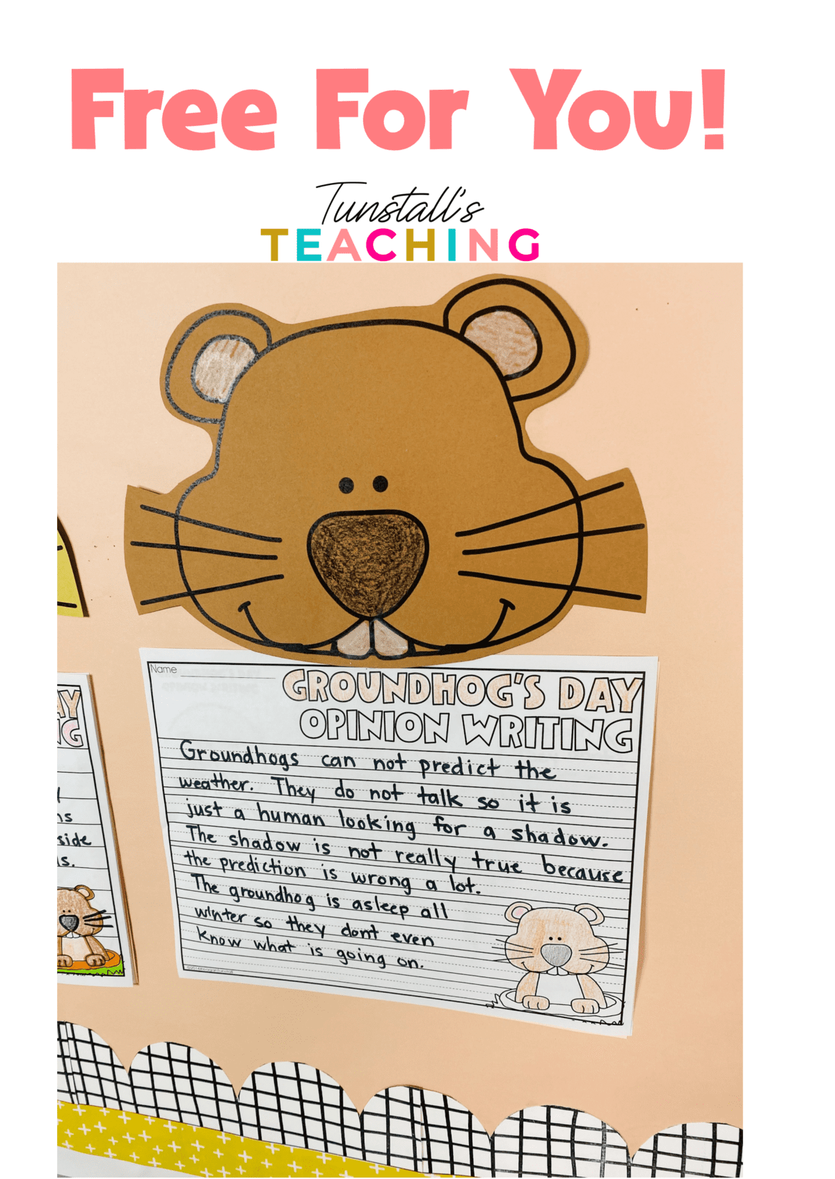 Free Groundhog Day Fact and Opinion Writing Lesson - Tunstall's Teaching