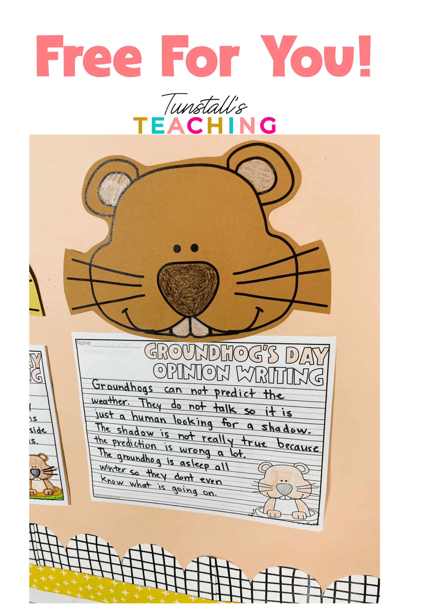Free Groundhog Day Fact and Opinion Writing Lesson - Tunstall's Teaching