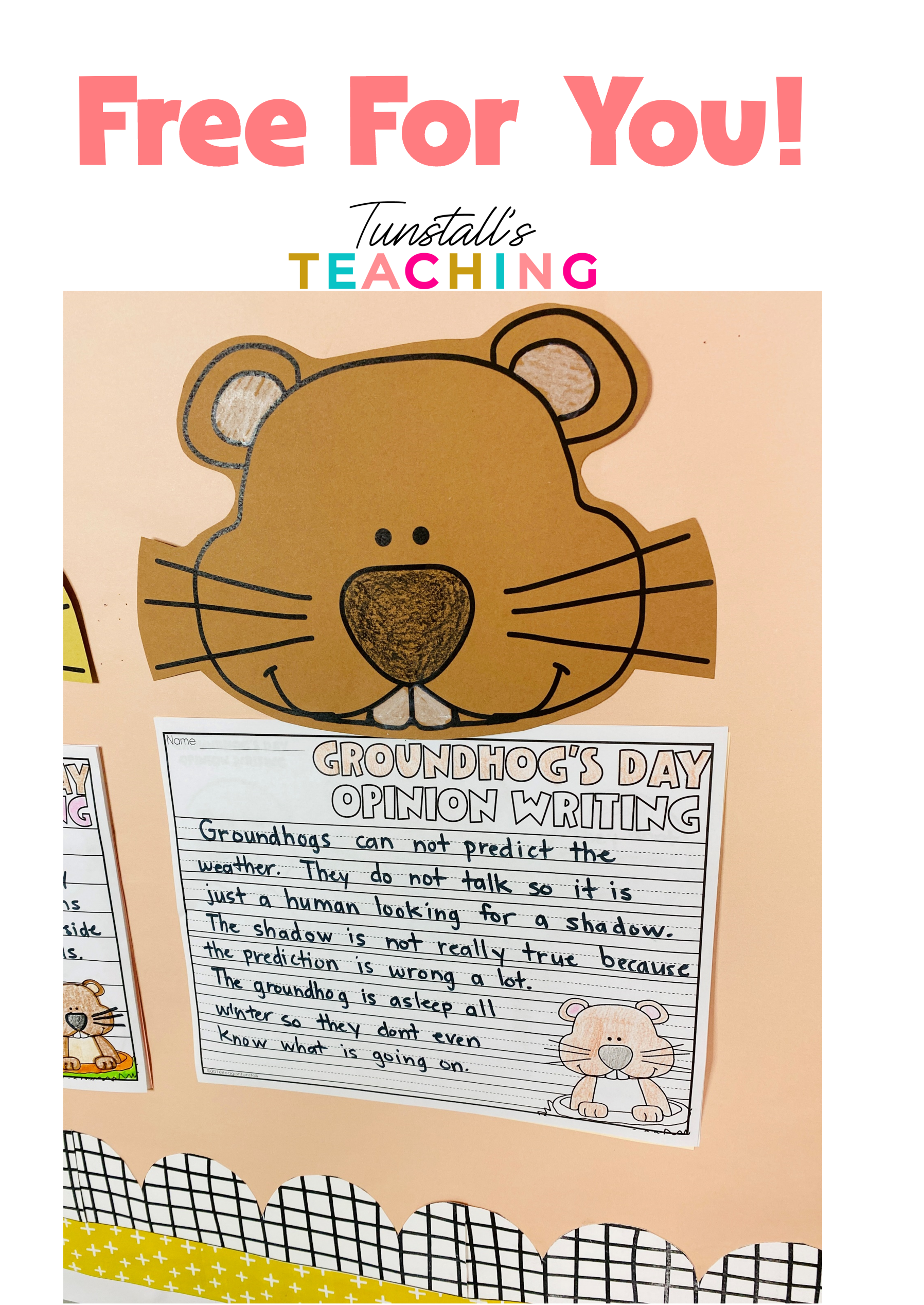Free Groundhog Day Fact and Opinion Writing Lesson - Tunstall's Teaching