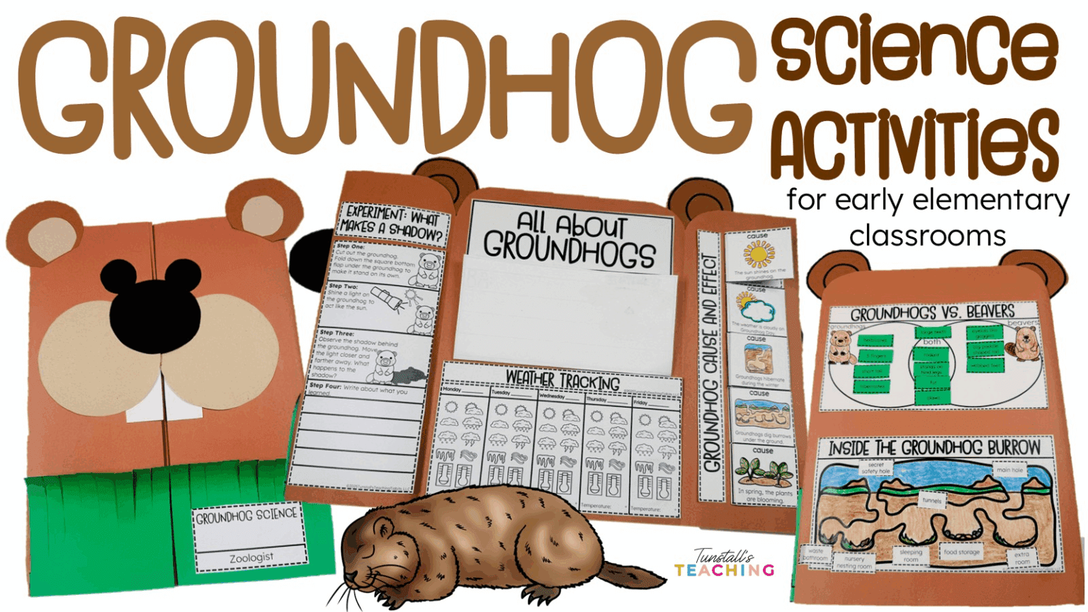 Free Groundhog Day Fact and Opinion Writing Lesson - Tunstall's Teaching