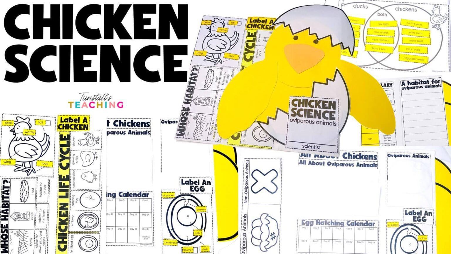Chicken Science and Oviparous Animals - Tunstall's Teaching