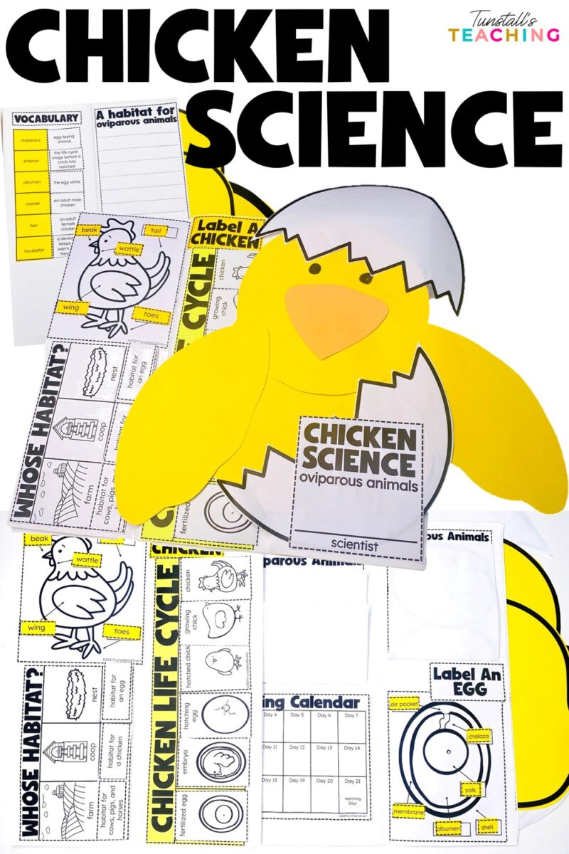 Chicken Science and Oviparous Animals - Tunstall's Teaching