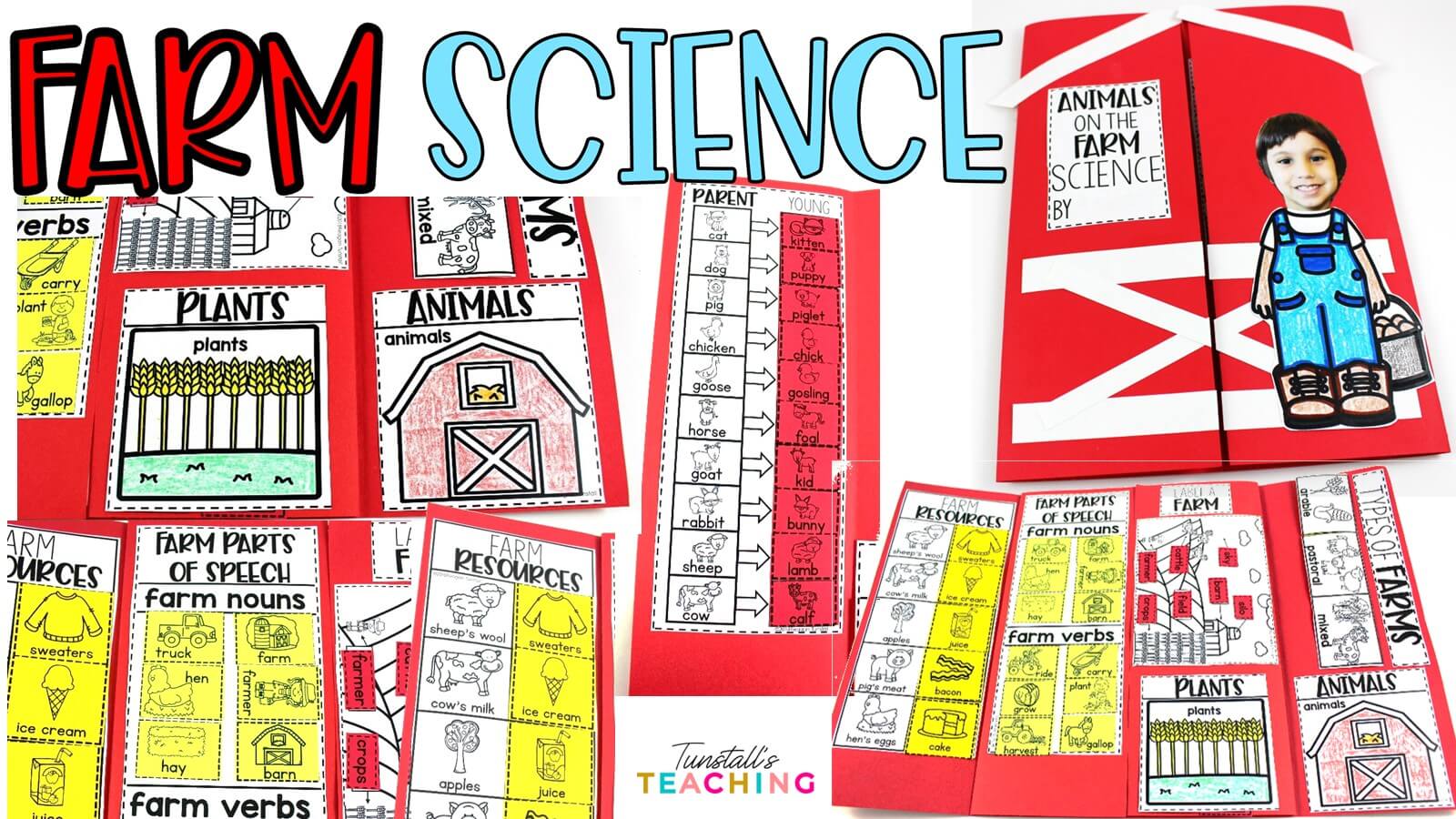 Chicken Science and Oviparous Animals - Tunstall's Teaching