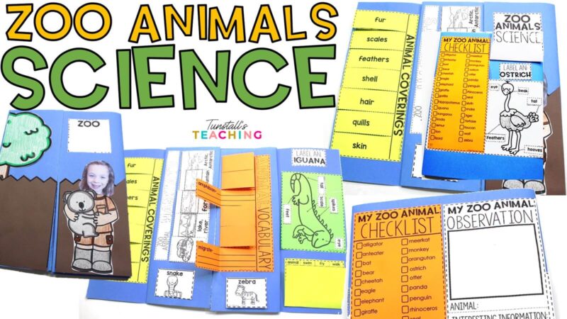 Chicken Science and Oviparous Animals - Tunstall's Teaching