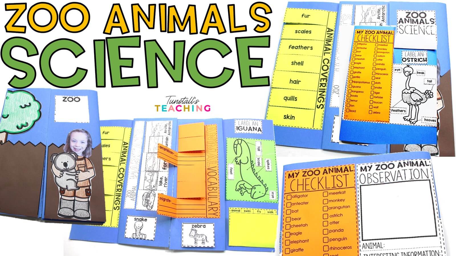 Chicken Science and Oviparous Animals - Tunstall's Teaching