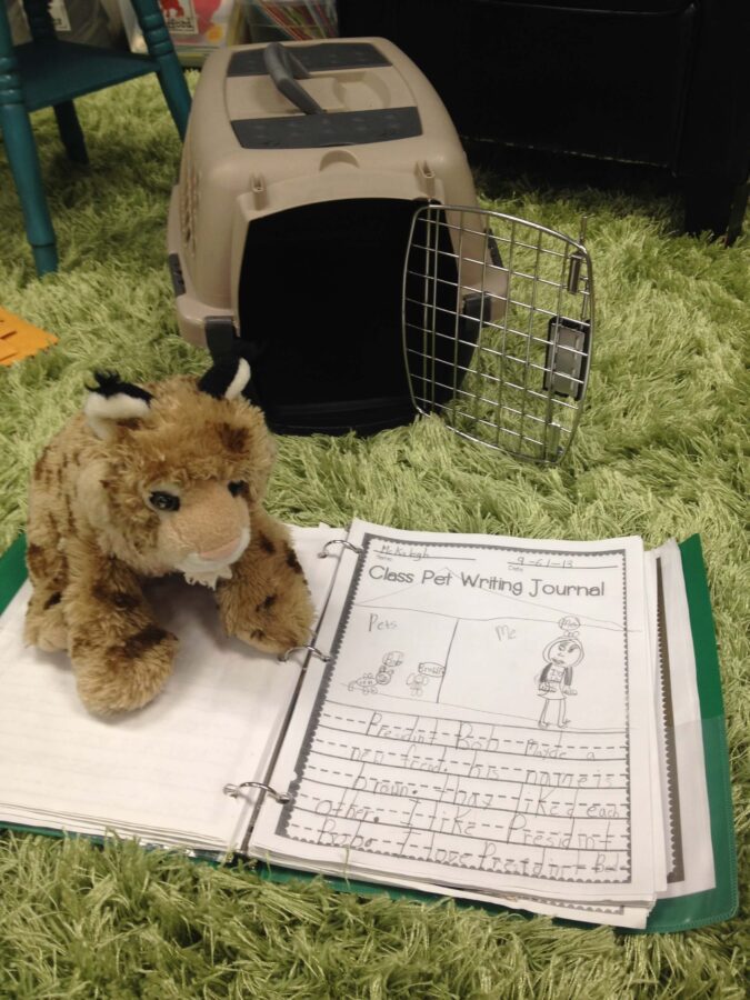 Class Pet Writing Journal - Tunstall's Teaching