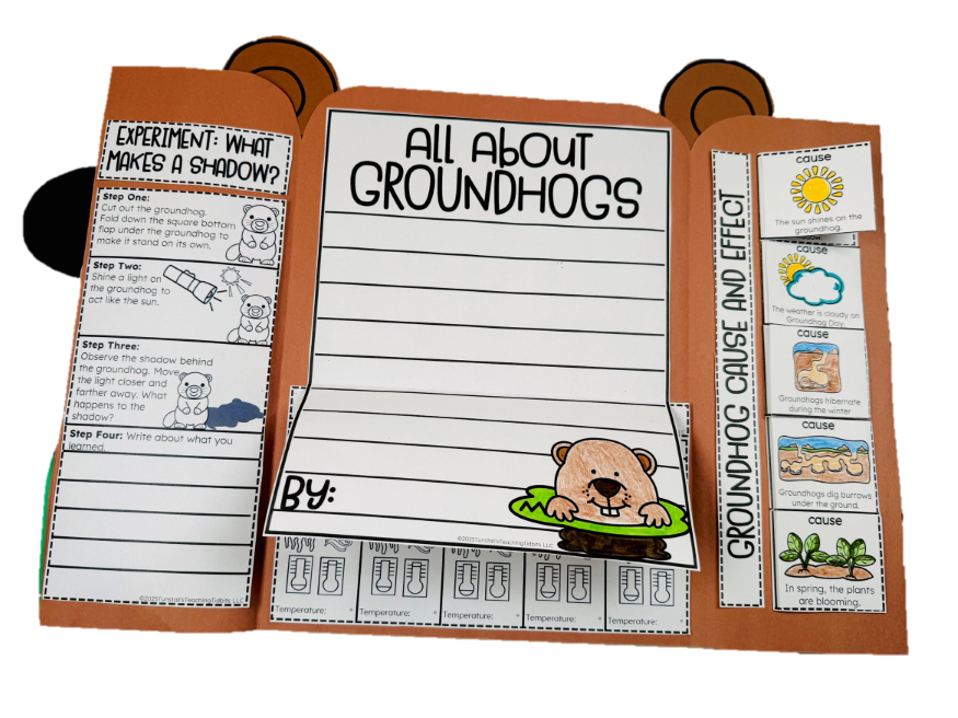 Groundhog Science Activities for First and Second Grade Classrooms