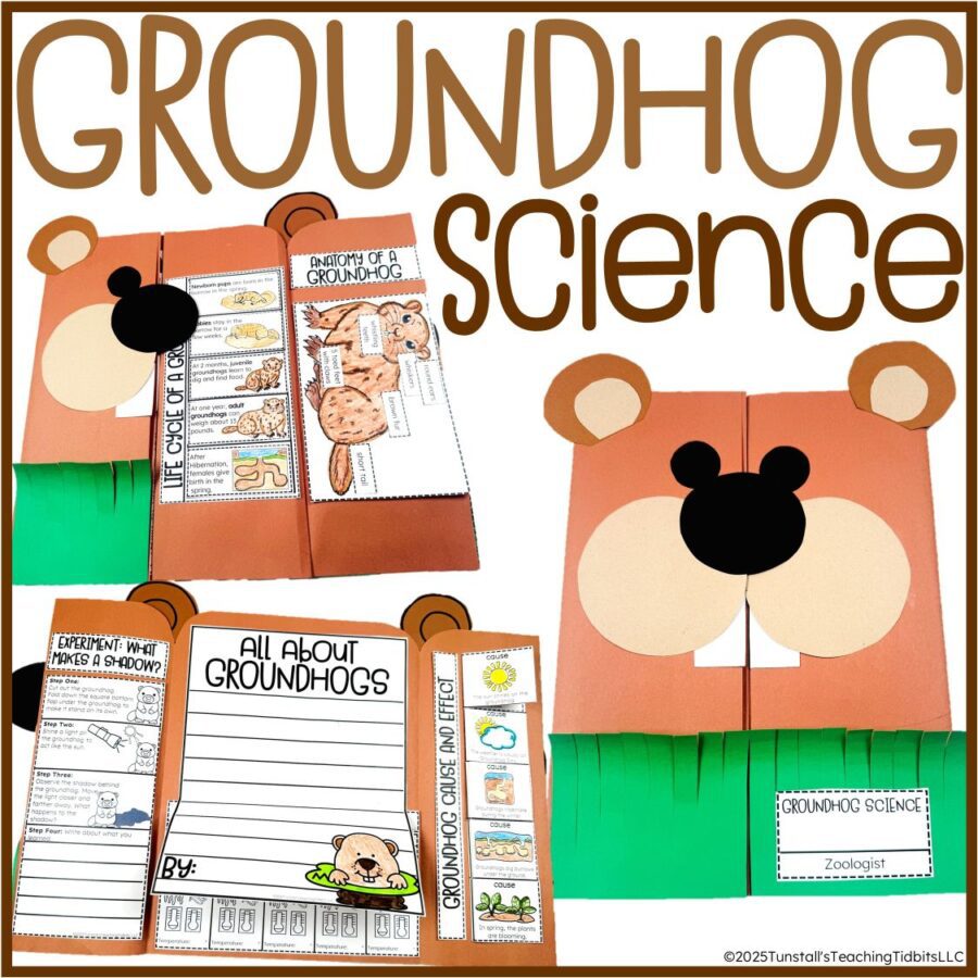 Groundhog Science Activities for First and Second Grade Classrooms