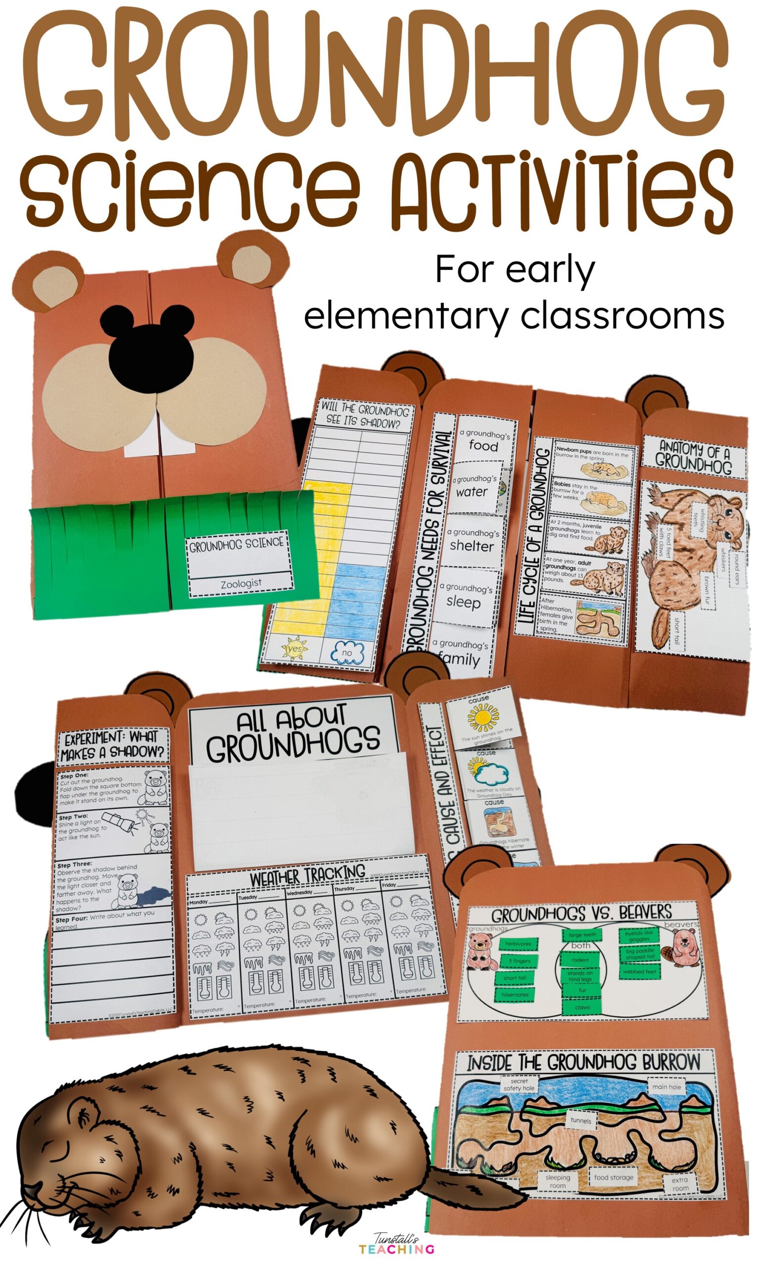Groundhog Science Activities for First and Second Grade Classrooms