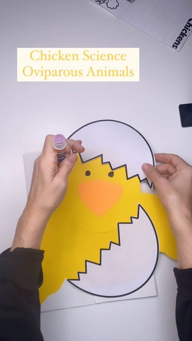 Contact Us - Tunstall's Teaching