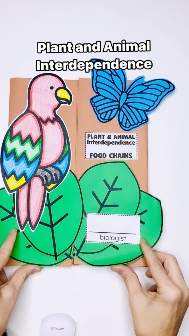 Contact Us - Tunstall's Teaching